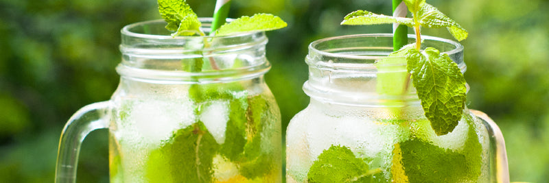 DIY Cocktail Gardening – Easy To Grow Bulbs