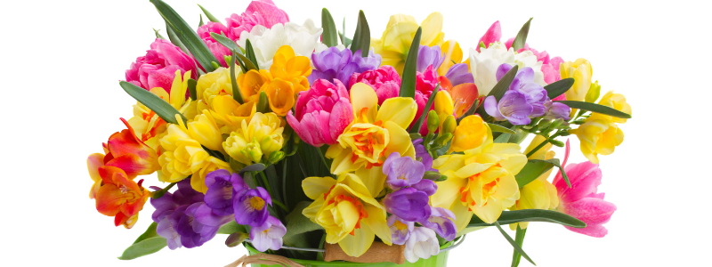 How to Make a Gorgeous Spring Bulb Flower Arrangement – Easy To Grow Bulbs