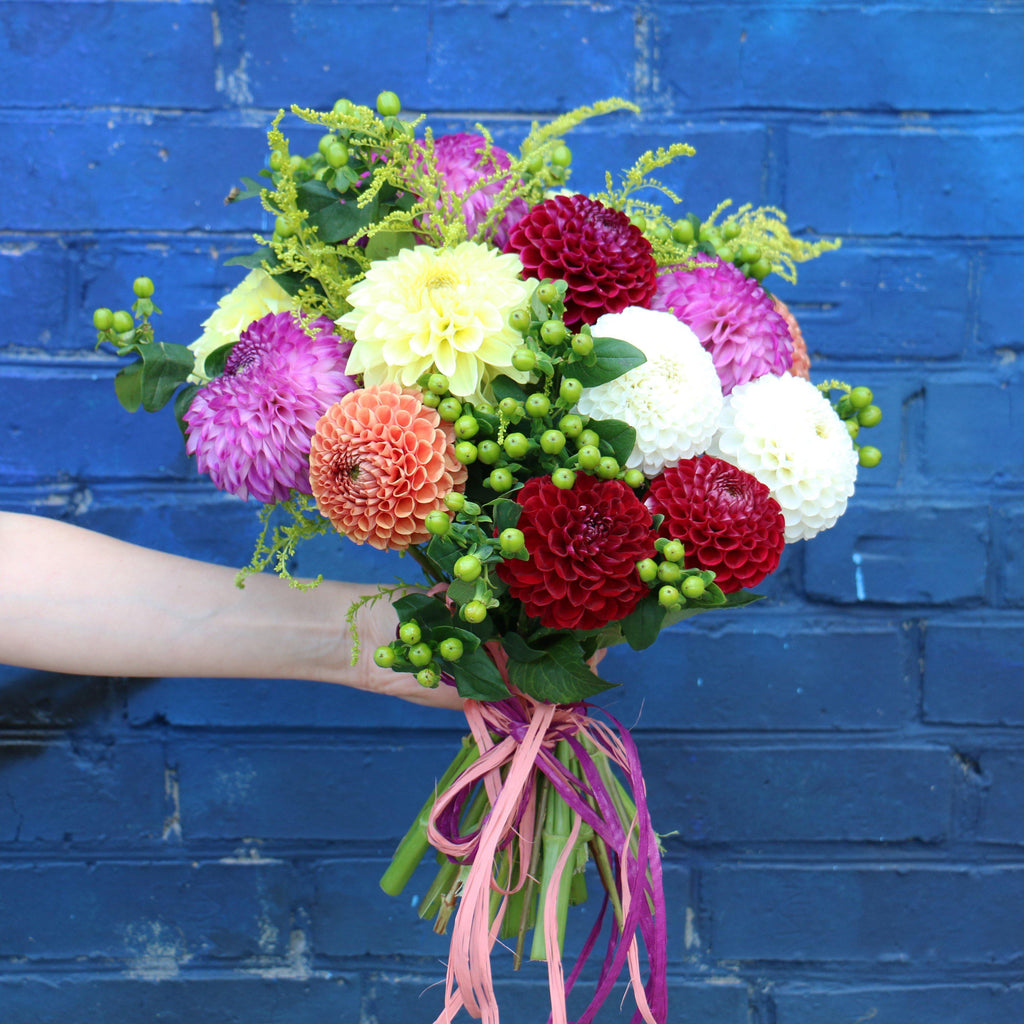 Cut Flowers – Tagged "Climate Zone_Zone 10" – Easy To Grow Bulbs