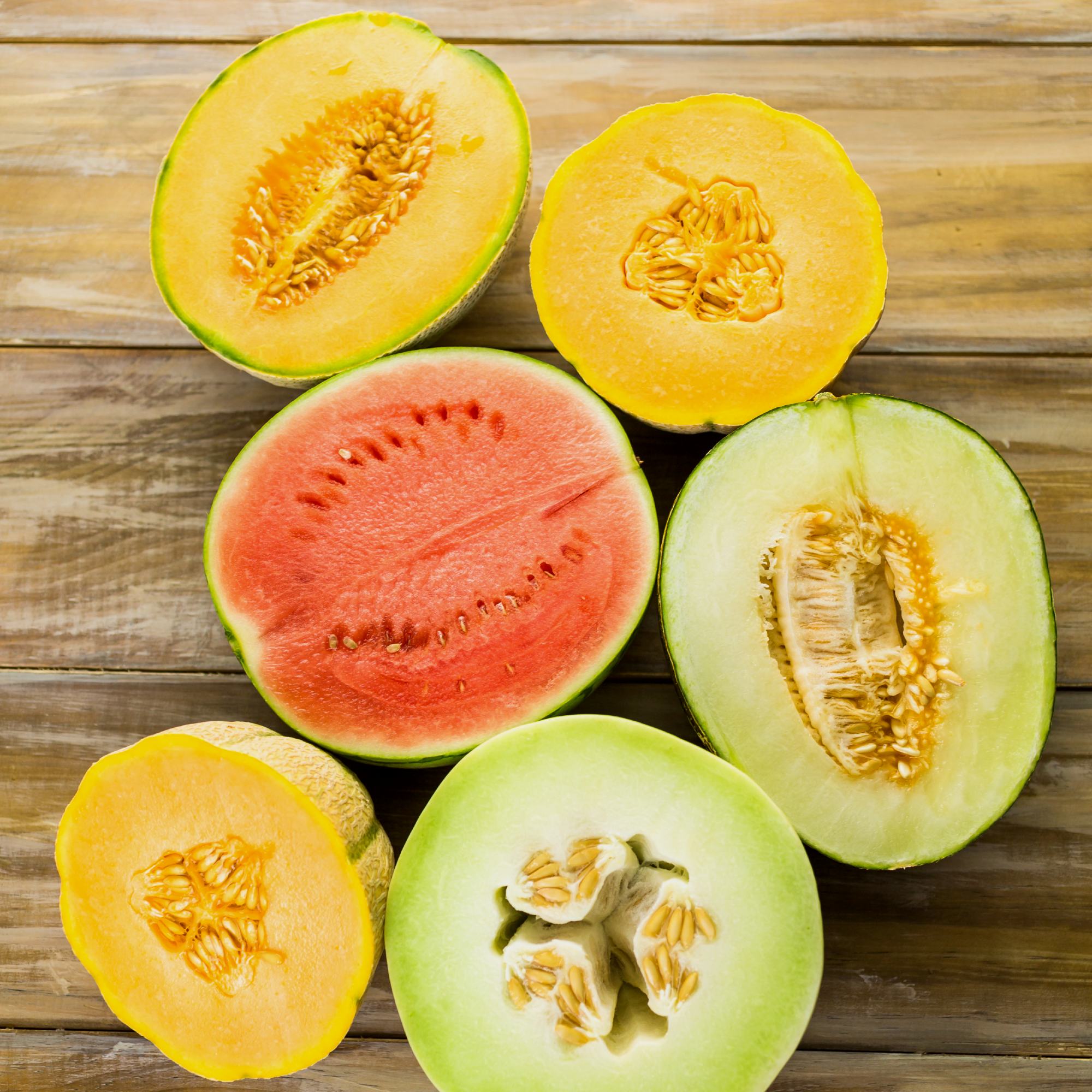 Melon Plants for Sale | Easy to Grow – tagged "Climate Zone_Zone 5 ...