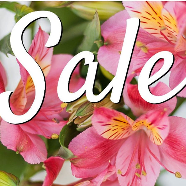 SALE - Stock up on your favorite flower bulbs & plants! – Easy To Grow ...
