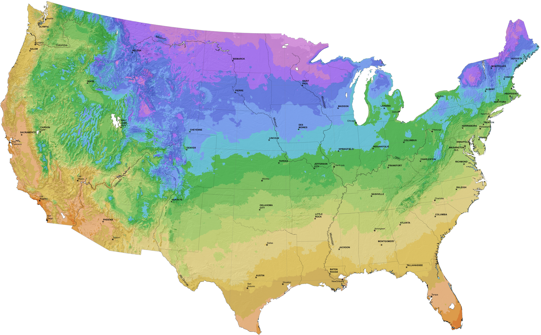 Lily of the Valley Pips – Easy To Grow Bulbs