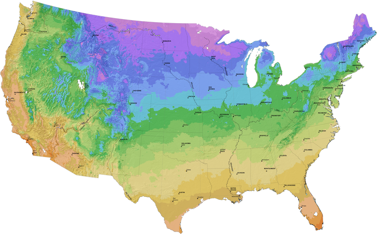 Pollinator Friendly Plants – tagged "Climate Zone_Zone 11" – Page 2 ...