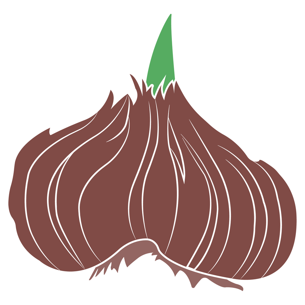 Beginner's Guide to Gardening: Planting Tips, Plant Structures, and ...