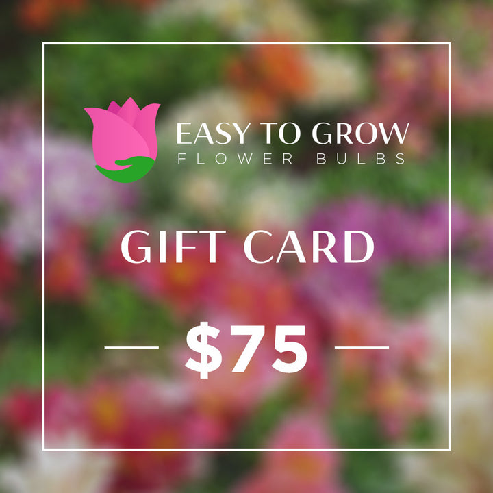 Easy to Grow - Gift Cards for Every Gardener – Easy To Grow Bulbs