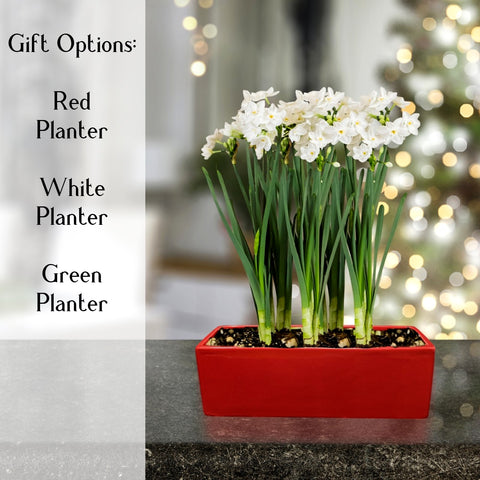 Flowering Gifts | Gifts for the Gardener | Gardening Gift Cards – Easy ...