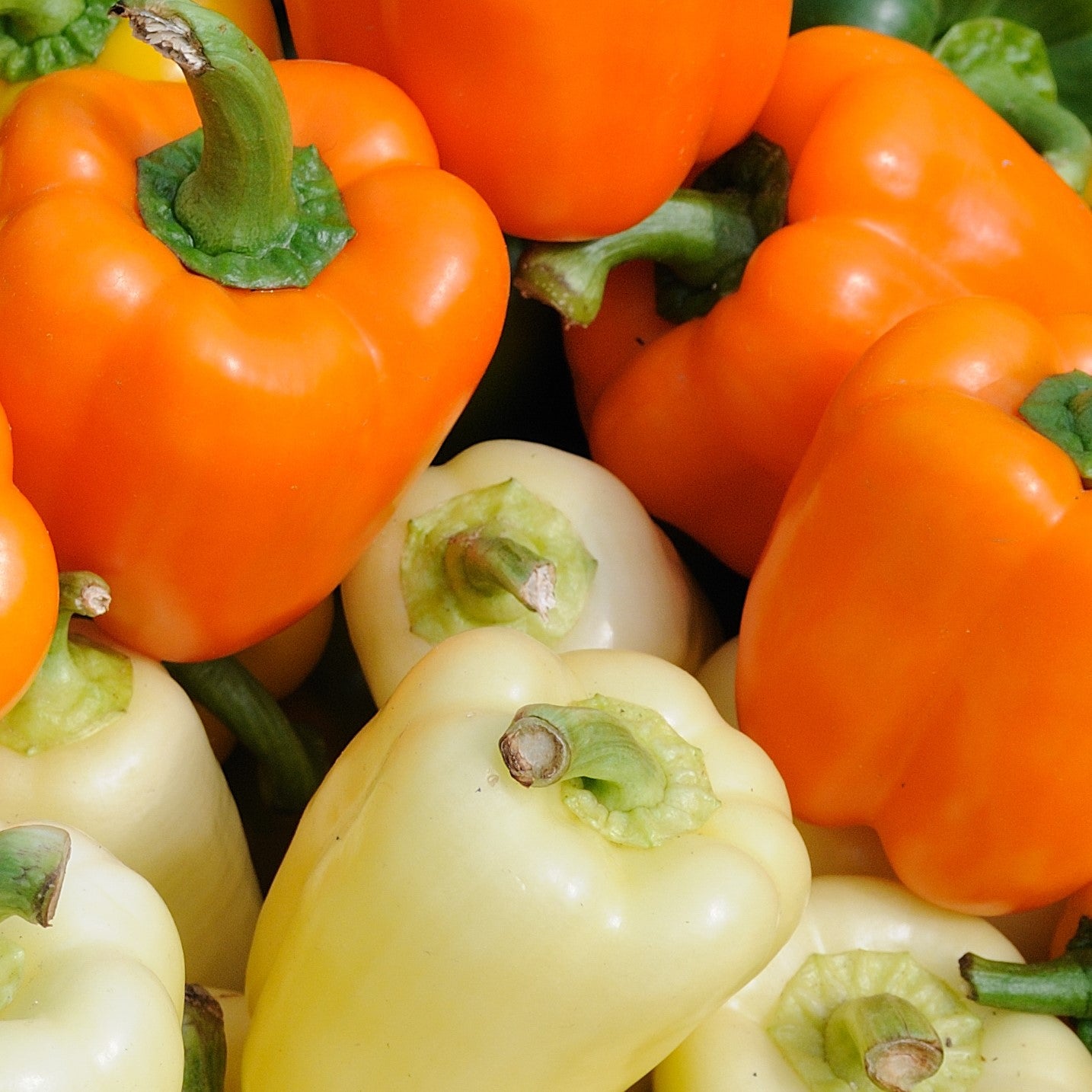 Orange Bell Pepper Plant