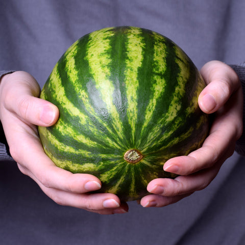 Melon Plants for Sale | Easy to Grow – Easy To Grow Bulbs