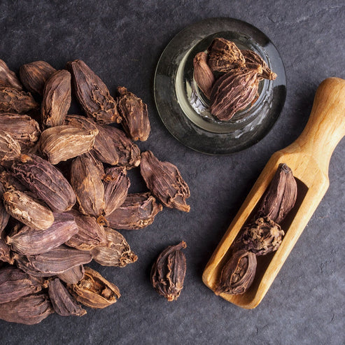 Exotic Cardamom Ginger Tubers for Sale | Amomum Subulatum – Easy To ...