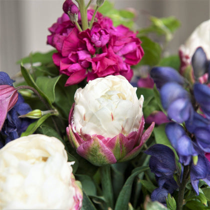Lovely Multi-Colored Tulip Bulbs for Sale Online | Ice Cream – Easy To ...