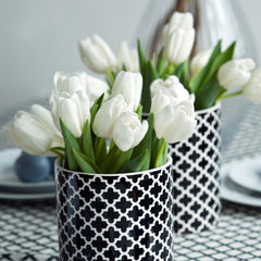 Gorgeous Pure White Tulip Bulbs for Sale Online | Maureen – Easy To ...